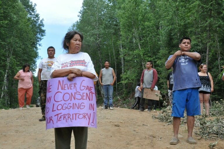 Delegation to Turtle Island | Community Peacemaker Teams