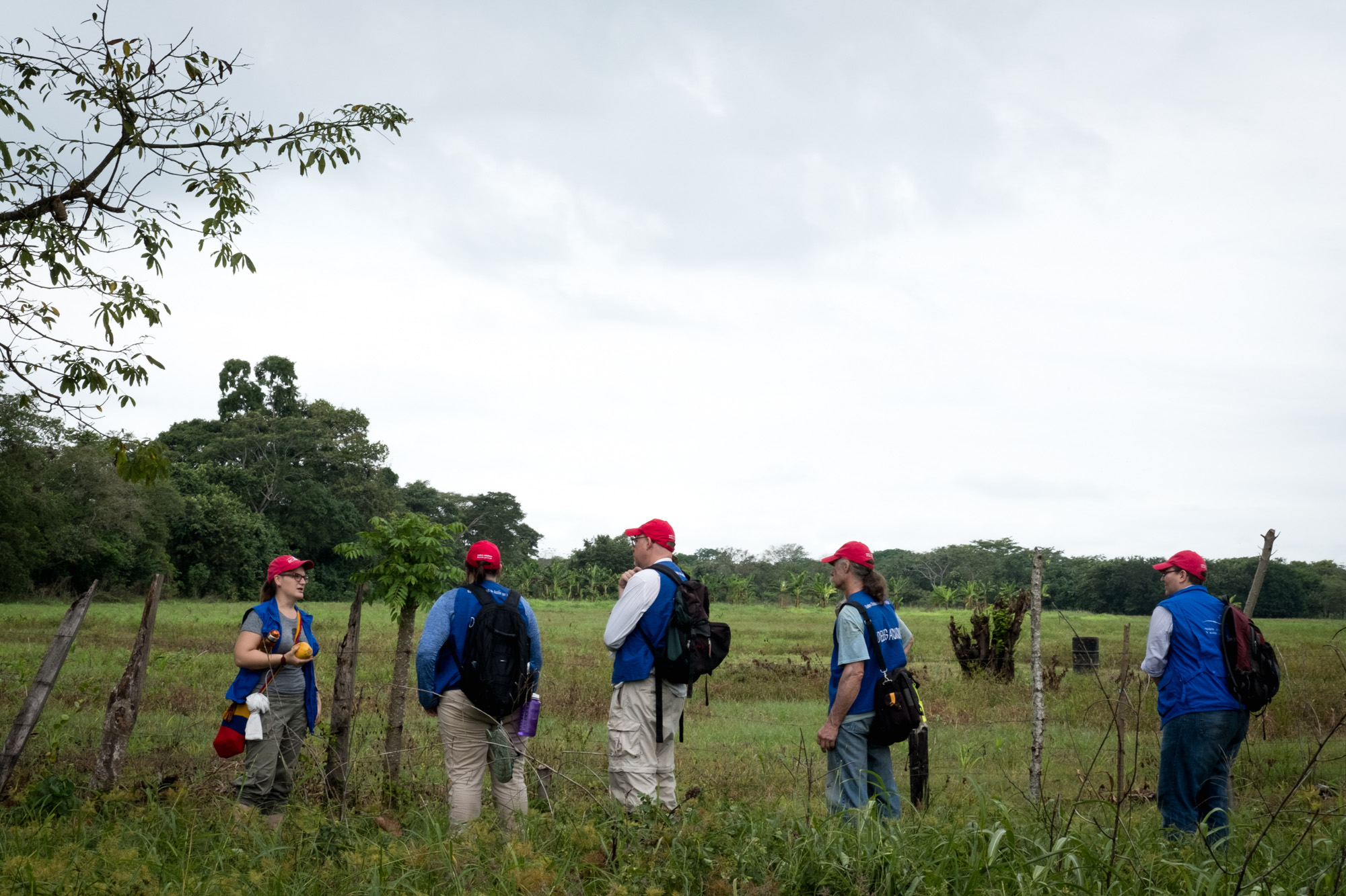 Apply for a Delegation | Community Peacemaker Teams