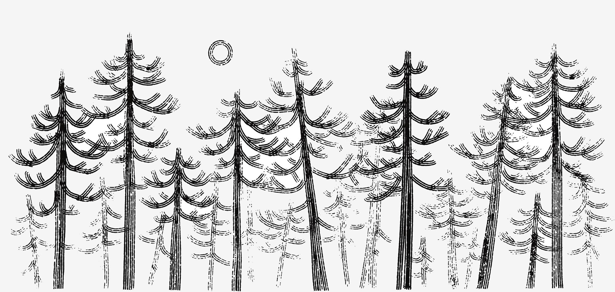 Step up for the earth. Learn. Act. Pledge