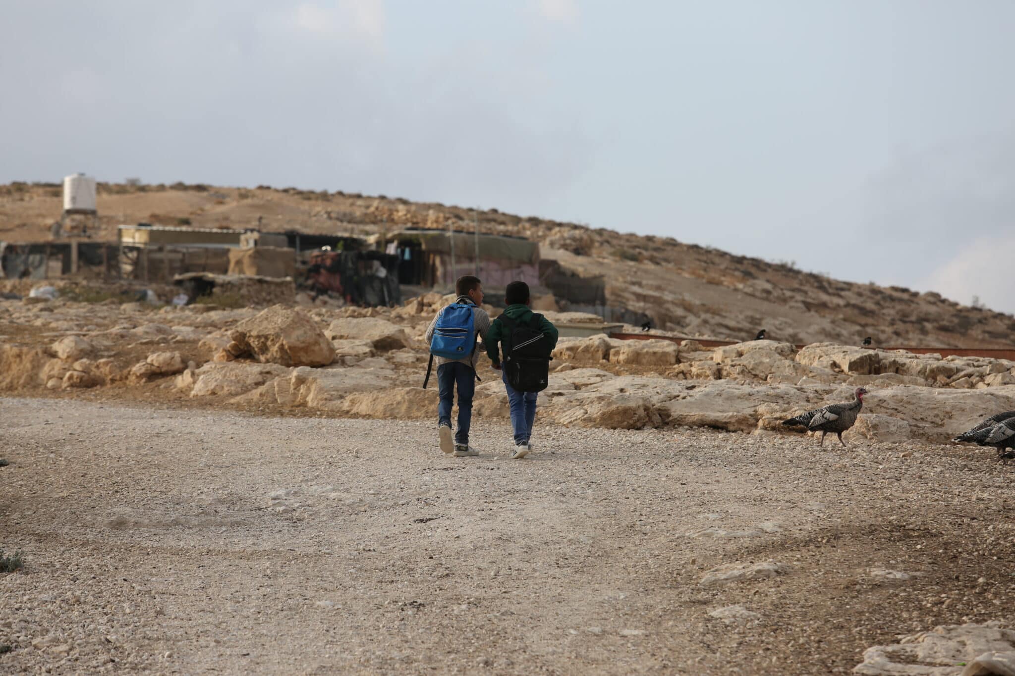 South Hebron Hills: Are we waiting to build a new refugee camp? | Palestine