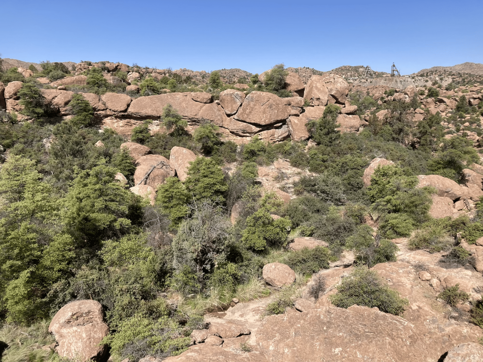 Pray to Save Oak Flat from Destruction | Turtle Island Solidarity Network
