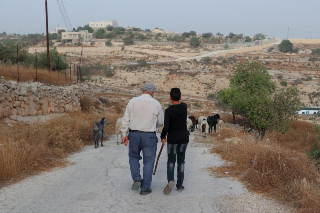 The reality of farming in Palestine | Palestine