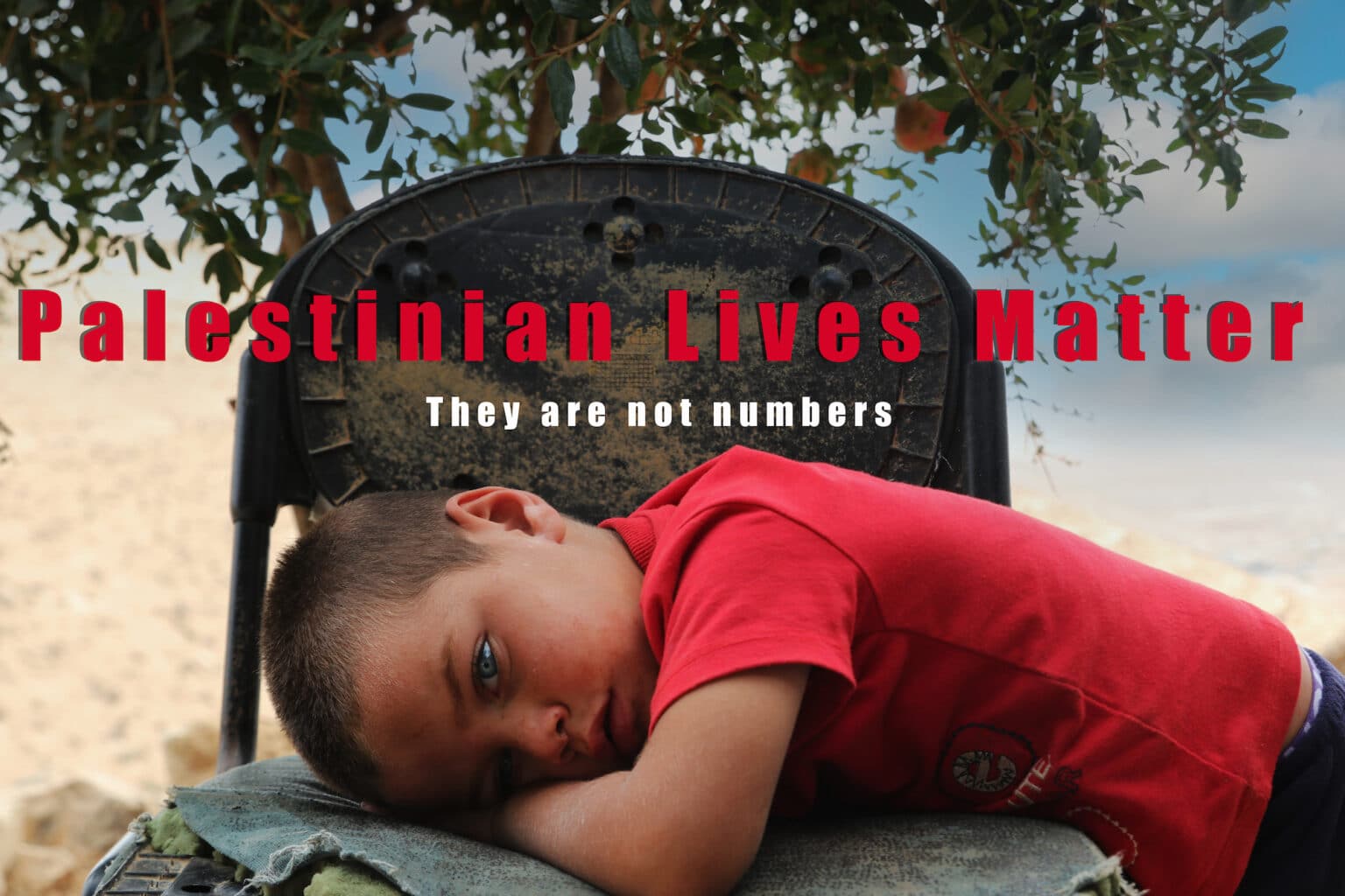 Palestinian Lives Matter: they are not numbers | Palestine