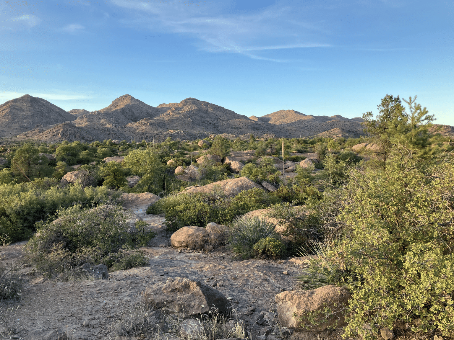 Exploring my spiritual roots: an ancient Indigenous story | TISN