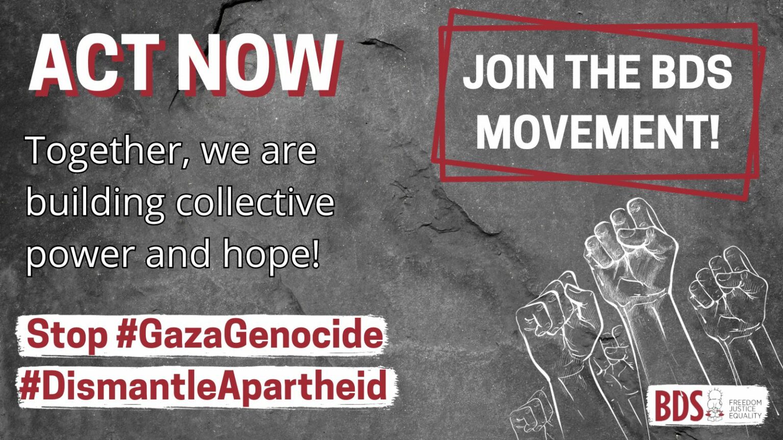 The Impact and Importance of the BDS Movement